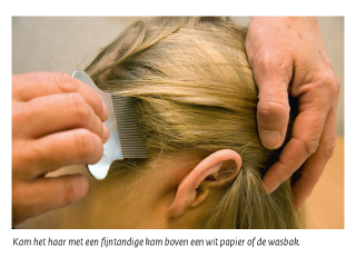 Luizen pluizen - GGD West-Brabant